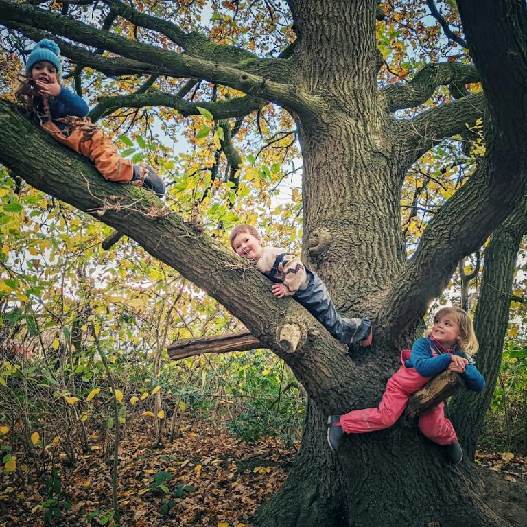 11 Life Skills Your Child Learns by Climbing Trees – Inspire Early Years